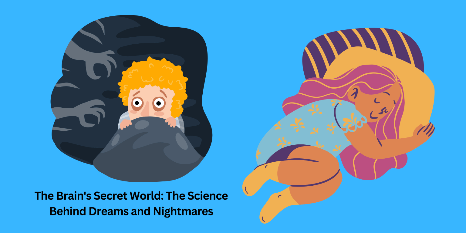 The Brain's Secret World: The Science Behind Dreams And Nightmares ...