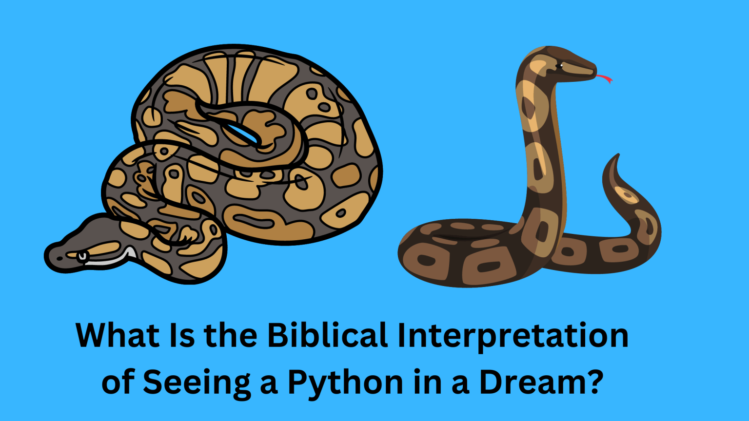 What Is The Biblical Interpretation Of Seeing A Python In A Dream ...