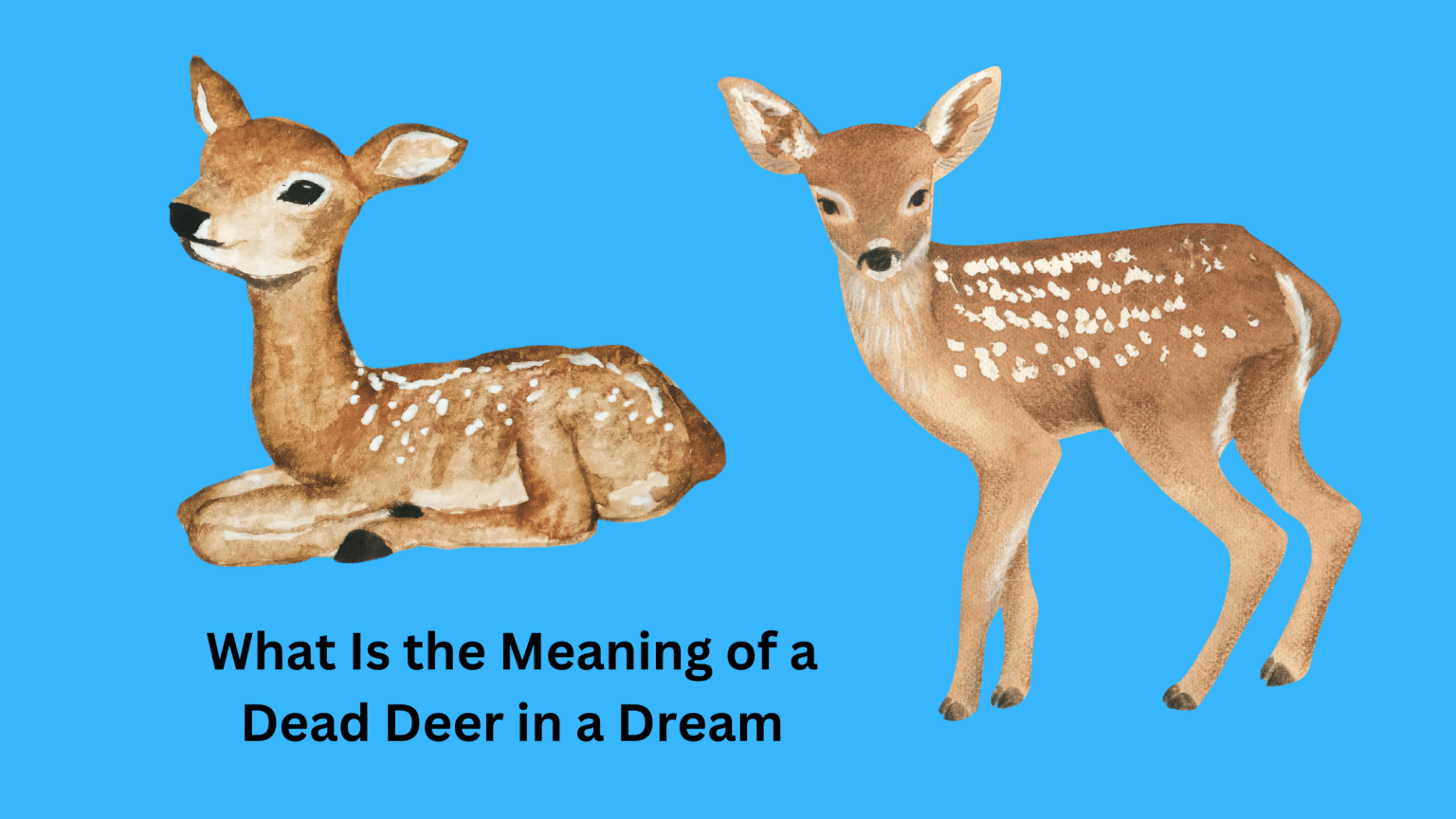 What Is The Meaning Of A Dead Deer In A Dream? 4 Possible Meanings ...