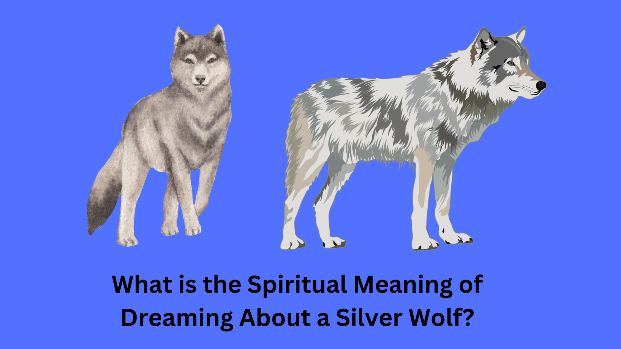What Is The Spiritual Meaning Of Dreaming About A Silver Wolf? - Dream ...